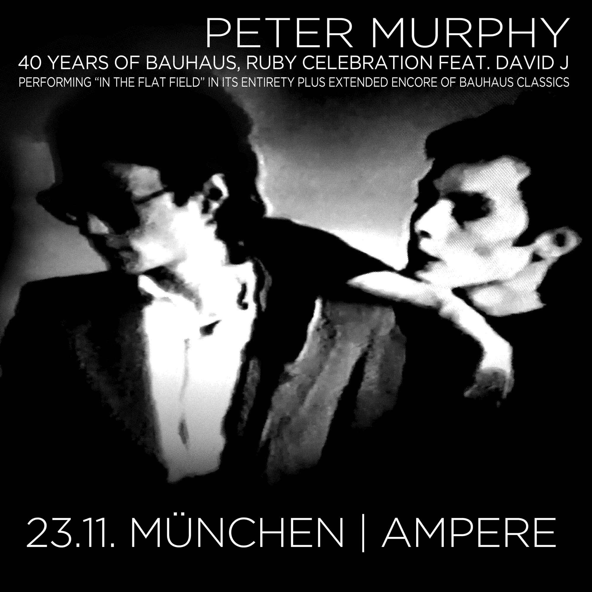 Ausverkauft Peter Murphy im Muffatwerk